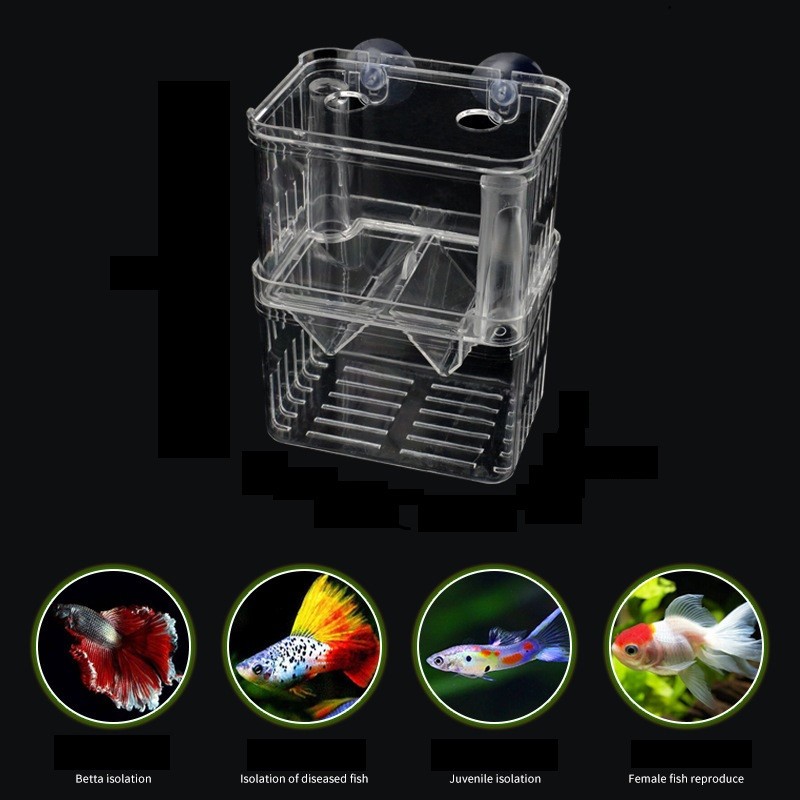 2 Double-Deck Clear Fish Breeding Isolation Box Tank Hatching Incubator ...