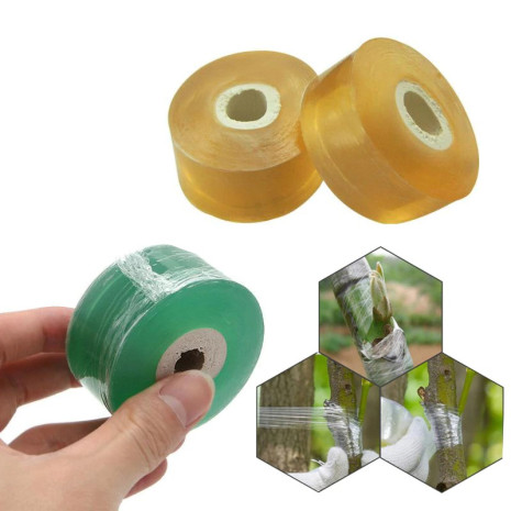 2, 5 Cm X 200M/Rolle Pfropfen Band Garten Werkzeuge Obst Baum ...
