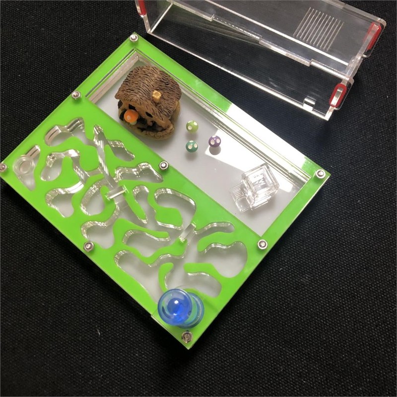 150Mmx110Mm Test Tube Big Space Ant Nest, Ant Farm Acrylic, Insect Ants ...