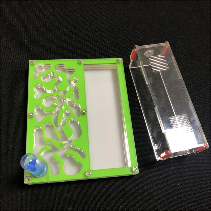 150Mmx110Mm Test Tube Big Space Ant Nest, Ant Farm Acrylic, Insect Ants ...