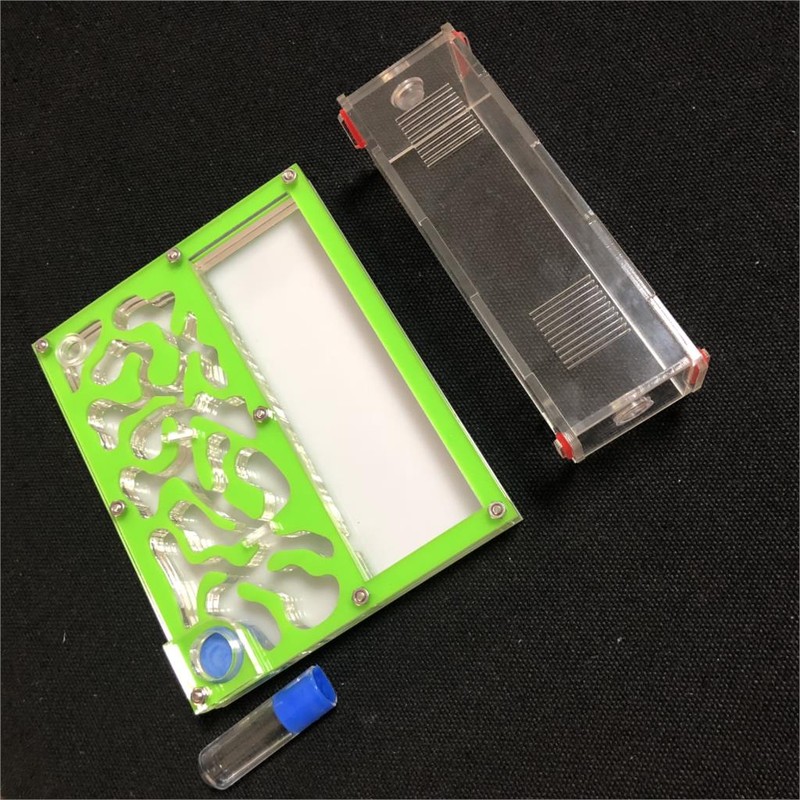 150Mmx110Mm Test Tube Big Space Ant Nest, Ant Farm Acrylic, Insect Ants ...