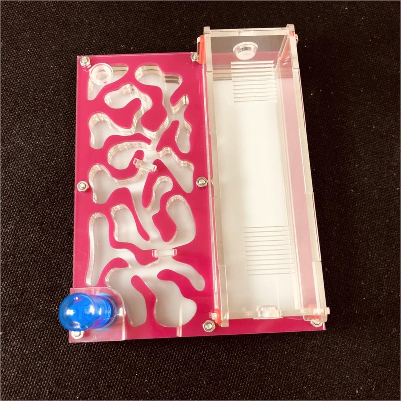 150Mmx110Mm Test Tube Big Space Ant Nest, Ant Farm Acrylic, Insect Ants ...