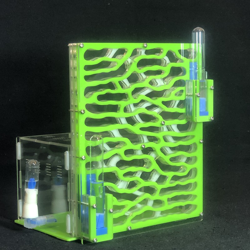 Diy Large Acrylic Ant Farm With Feeding Area Big Ants House Ant Nest ...