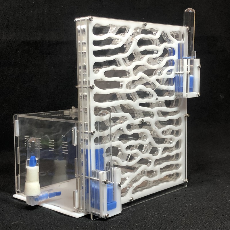 Diy Large Acrylic Ant Farm With Feeding Area Big Ants House Ant Nest ...