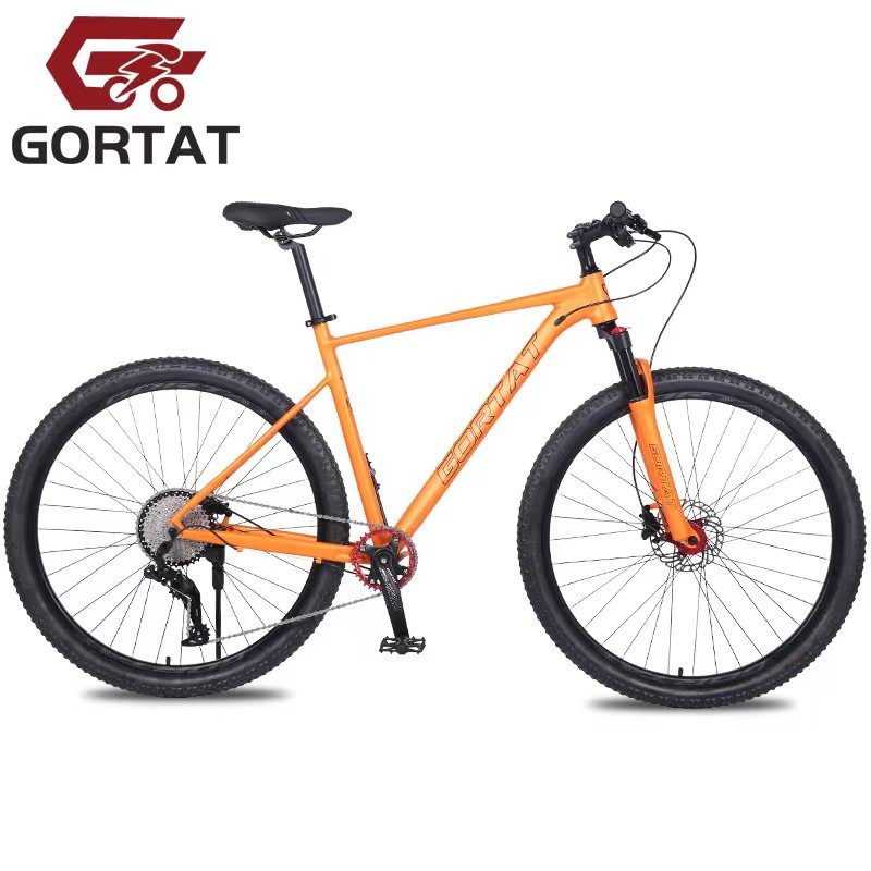 Gortat 21 Inch Frame Aluminum Alloy Mountain Bike 10-Speed Bicycle ...